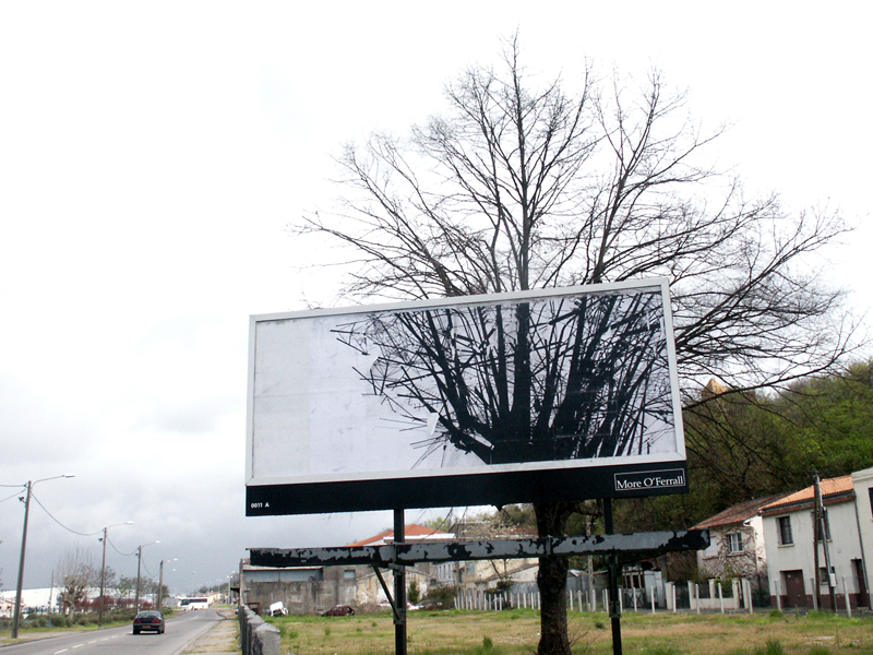 See-through: Tree - Urban blooz