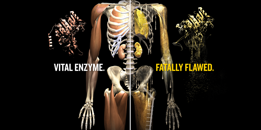 Rich Thorne | Creative Director