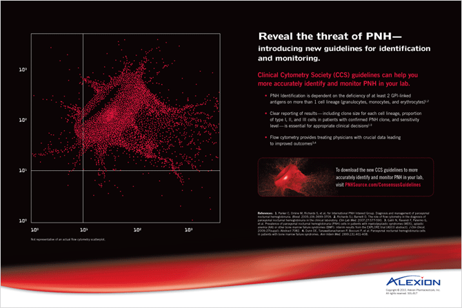 PNH Awareness Campaign - Rich Thorne | Creative Director