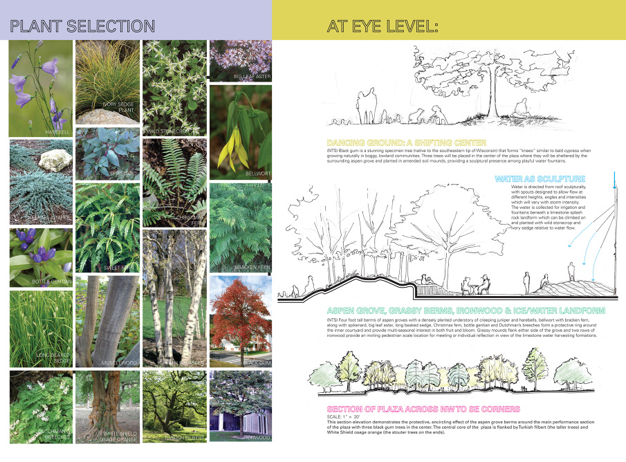 Planting Design - Julia Schilling
