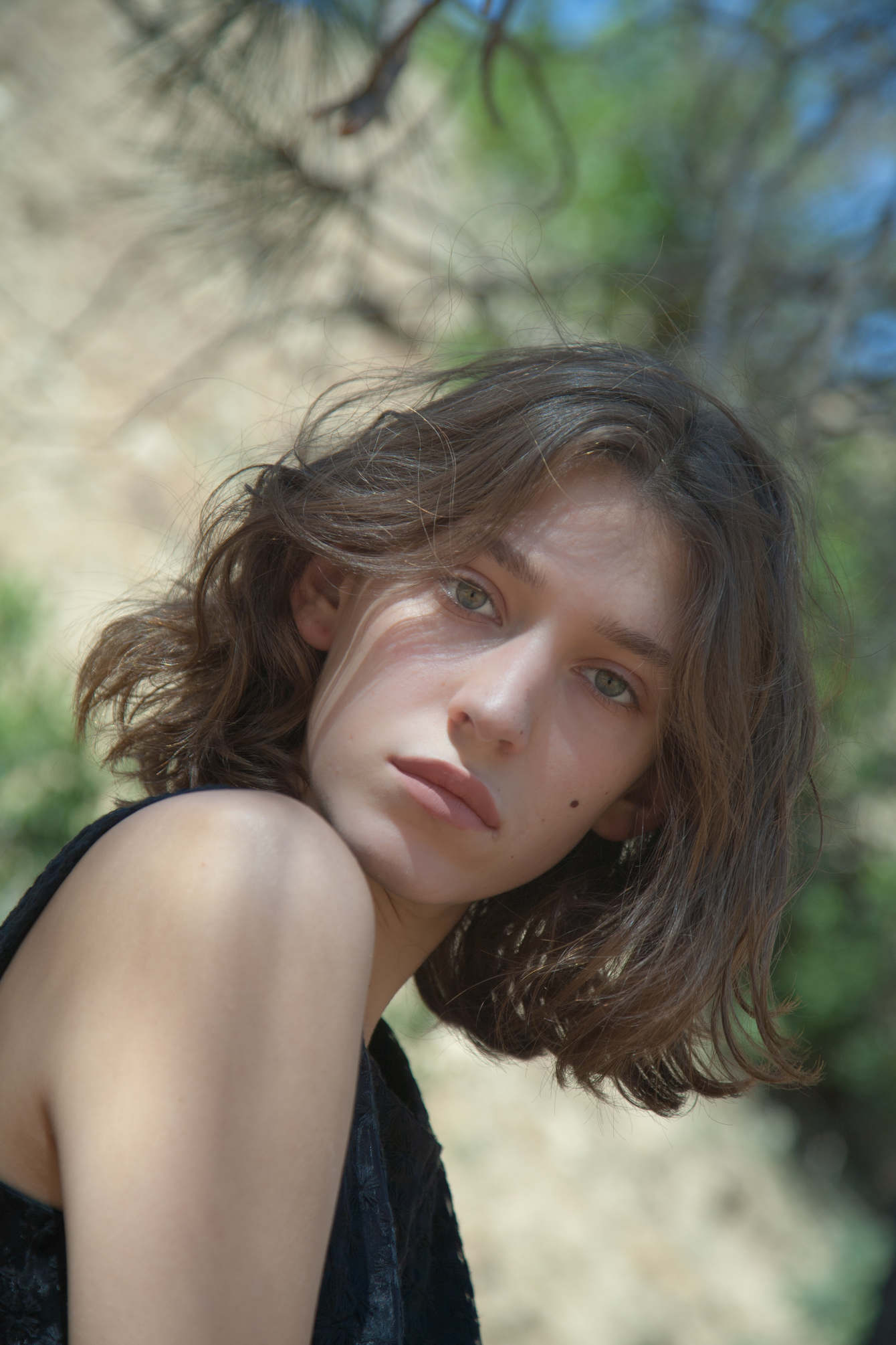Nicole Anne Robbins: Deux - nicole anne robbins