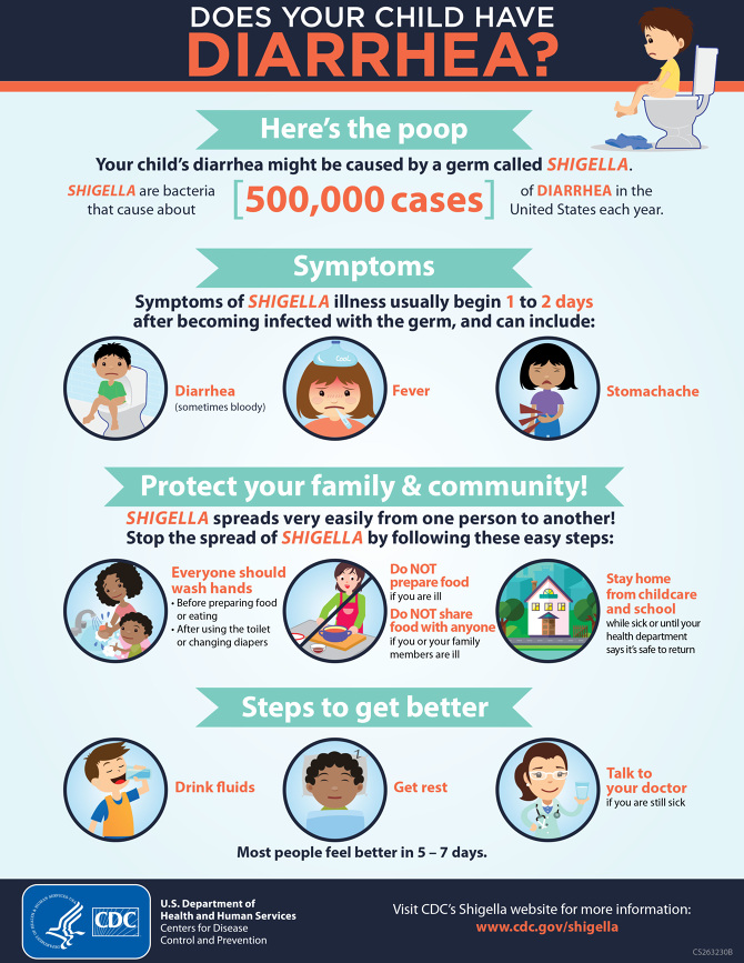 Shigella Infographic - Steve Mann Design