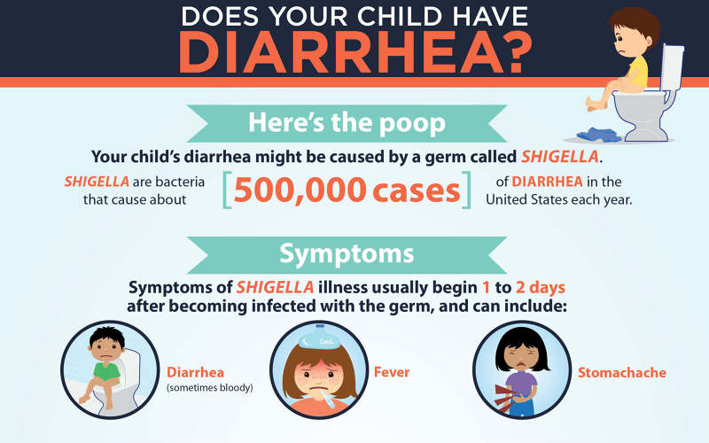 Shigella Infographic - Steve Mann Design