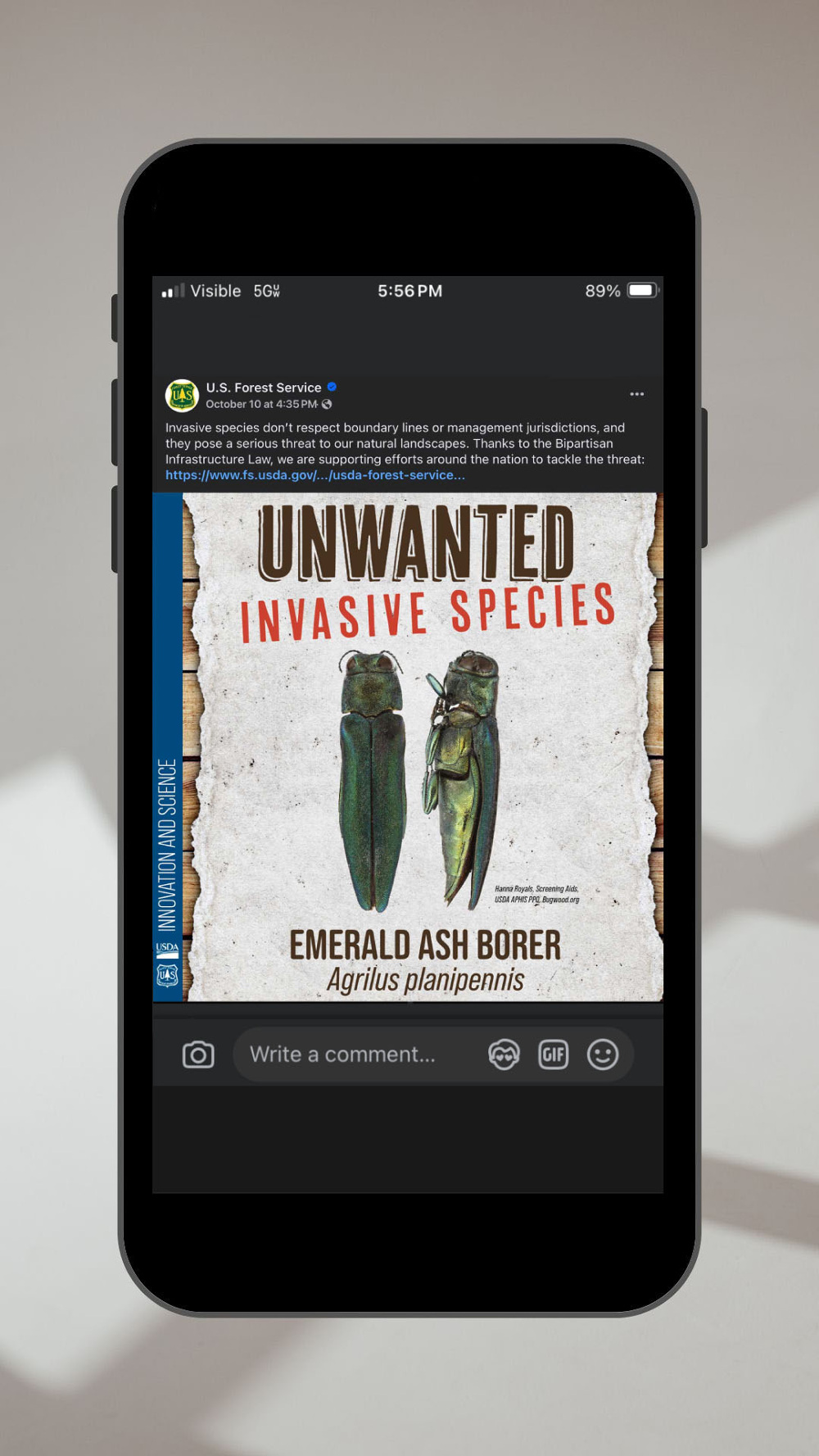 Unwanted Invasive Species - Steve Mann Design