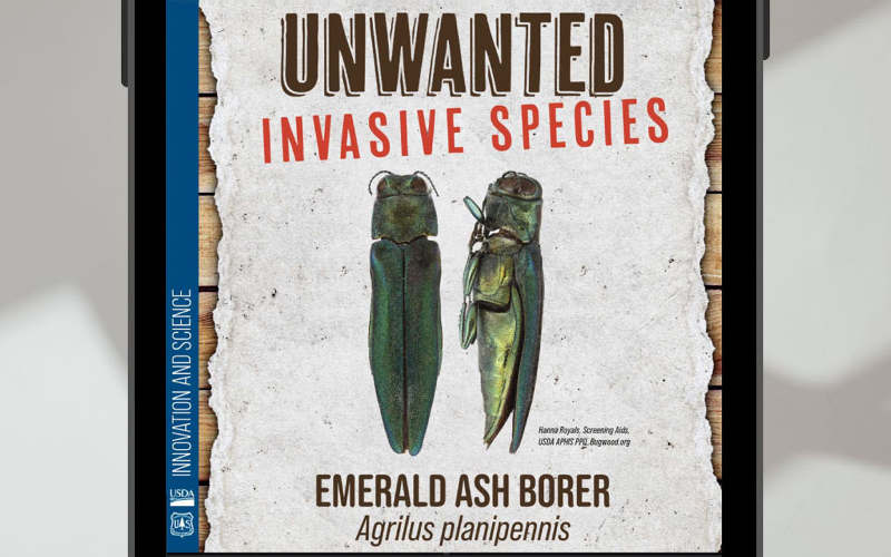 Unwanted Invasive Species - Steve Mann Design