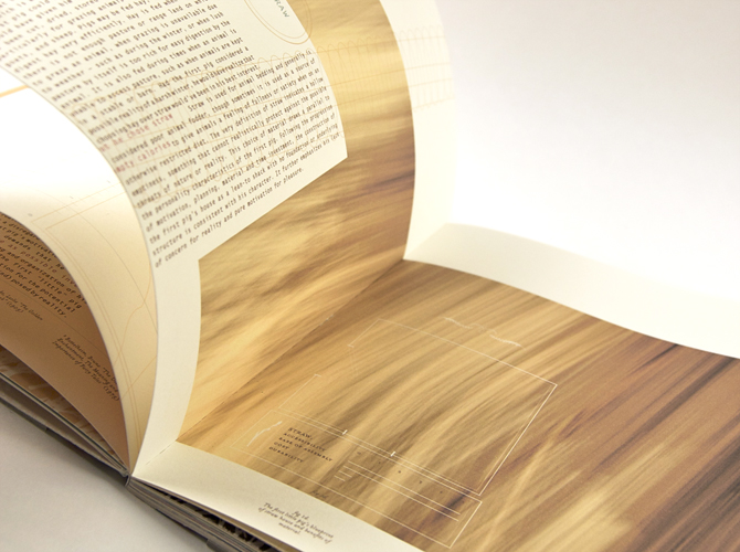 HAY, STICKS & BRICKS - caitlyngibbons.com