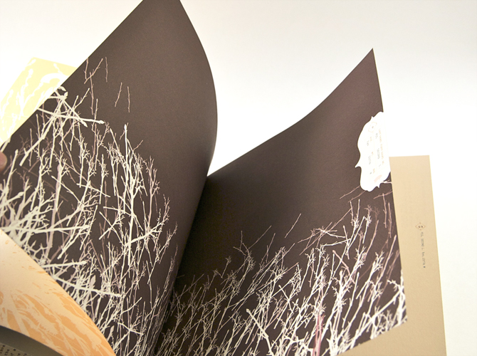 HAY, STICKS & BRICKS - caitlyngibbons.com