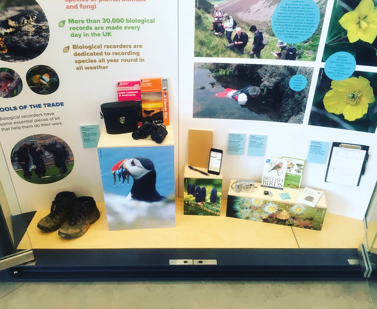 National Biodiversity Network display at Royal Botanic Garden Edinburgh ...