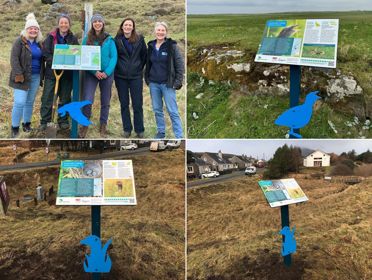 Corncrake Calling - Tea & Type