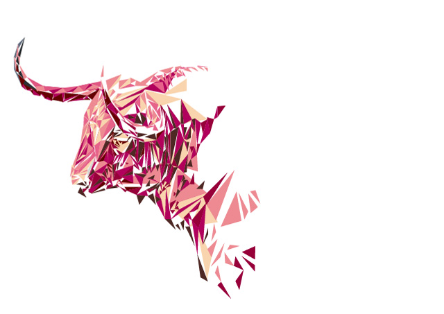 RED BULL TORO Promovement - tiagomarcondes