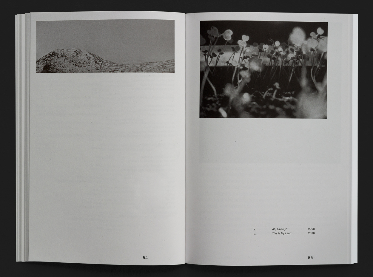 fireflies - issue #4 - James Geoffrey Nunn