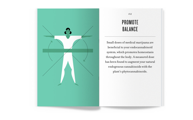 Kiva - Petra Mints - John Kovacevich - Creative Director