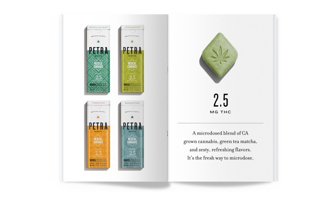 Kiva - Petra Mints - John Kovacevich - Creative Director