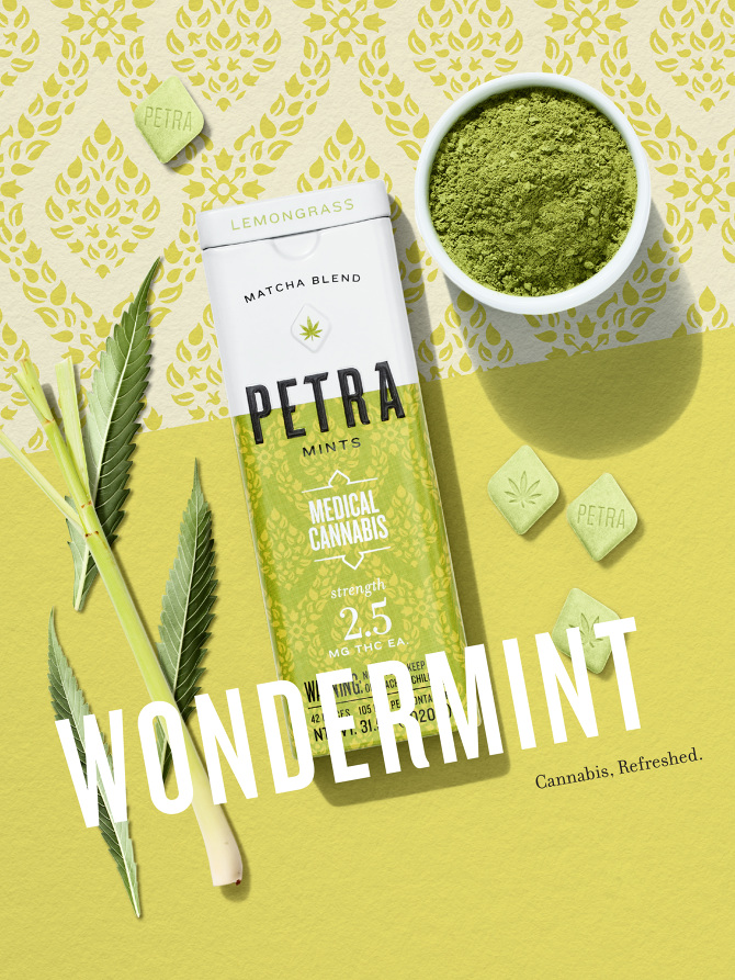 Kiva - Petra Mints - John Kovacevich - Creative Director