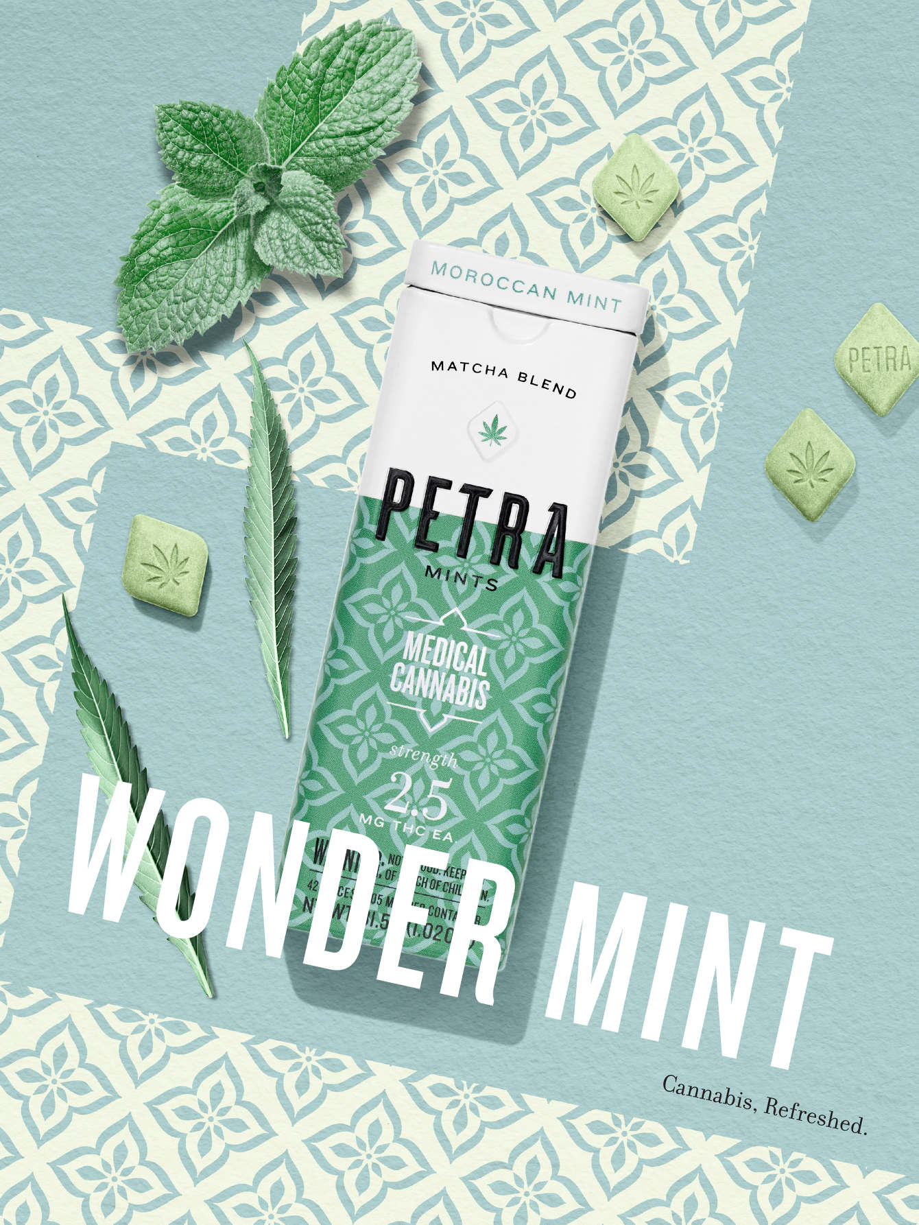 Kiva - Petra Mints - John Kovacevich - Creative Director