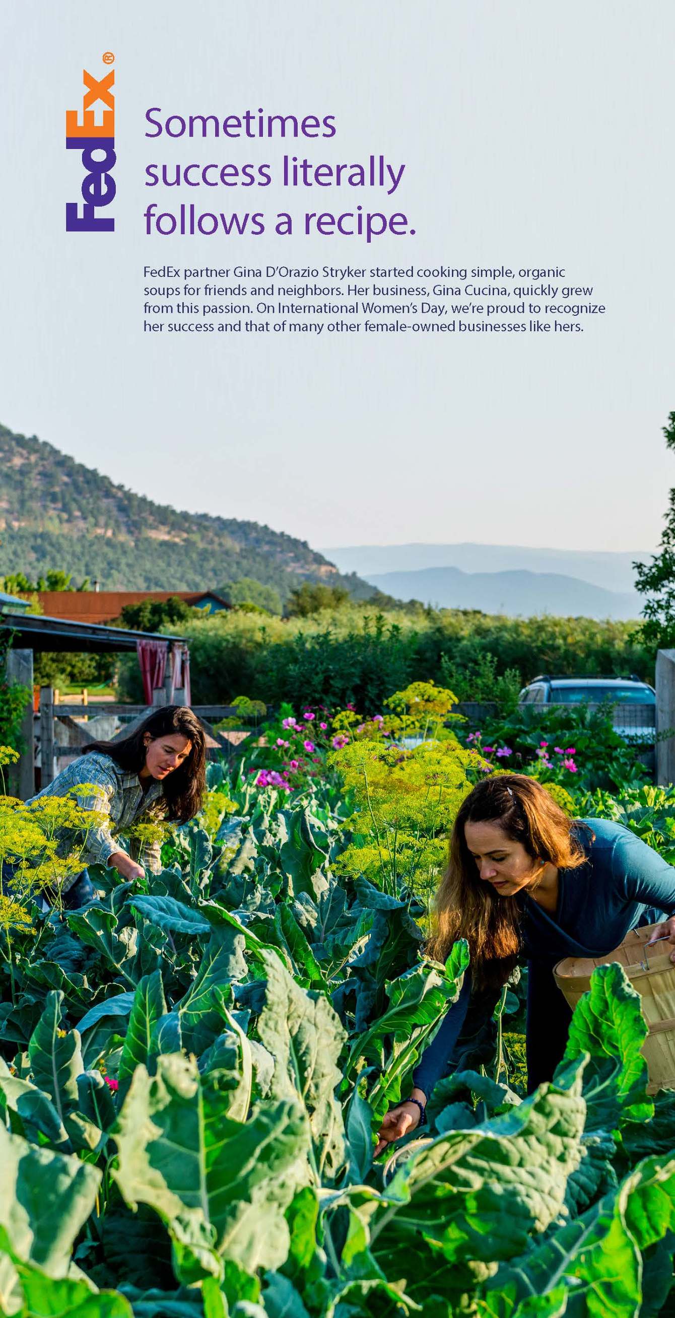 FedEx print - steven schroth copywriter