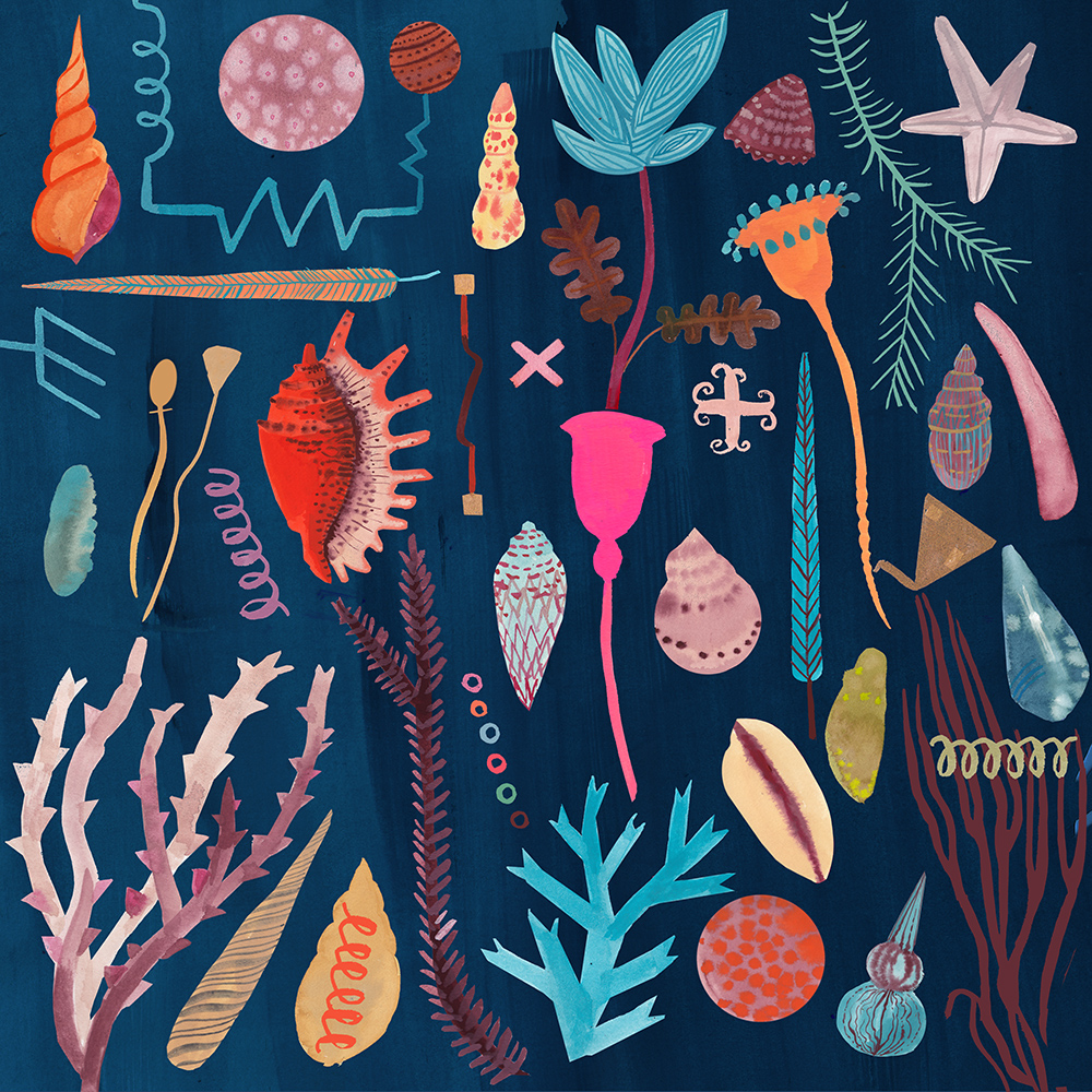 Marine shapes - Catell Ronca