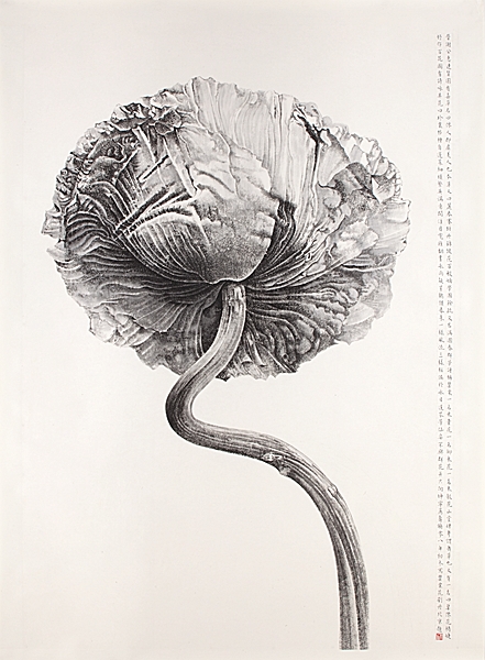 Influences & Process - thomas barwick