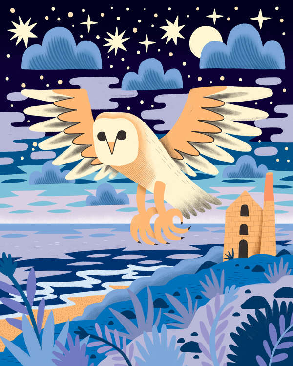 Jack Teagle Illustration