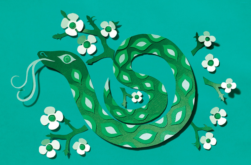 Lunar New Year of the Snake - Rebecca Sutherland