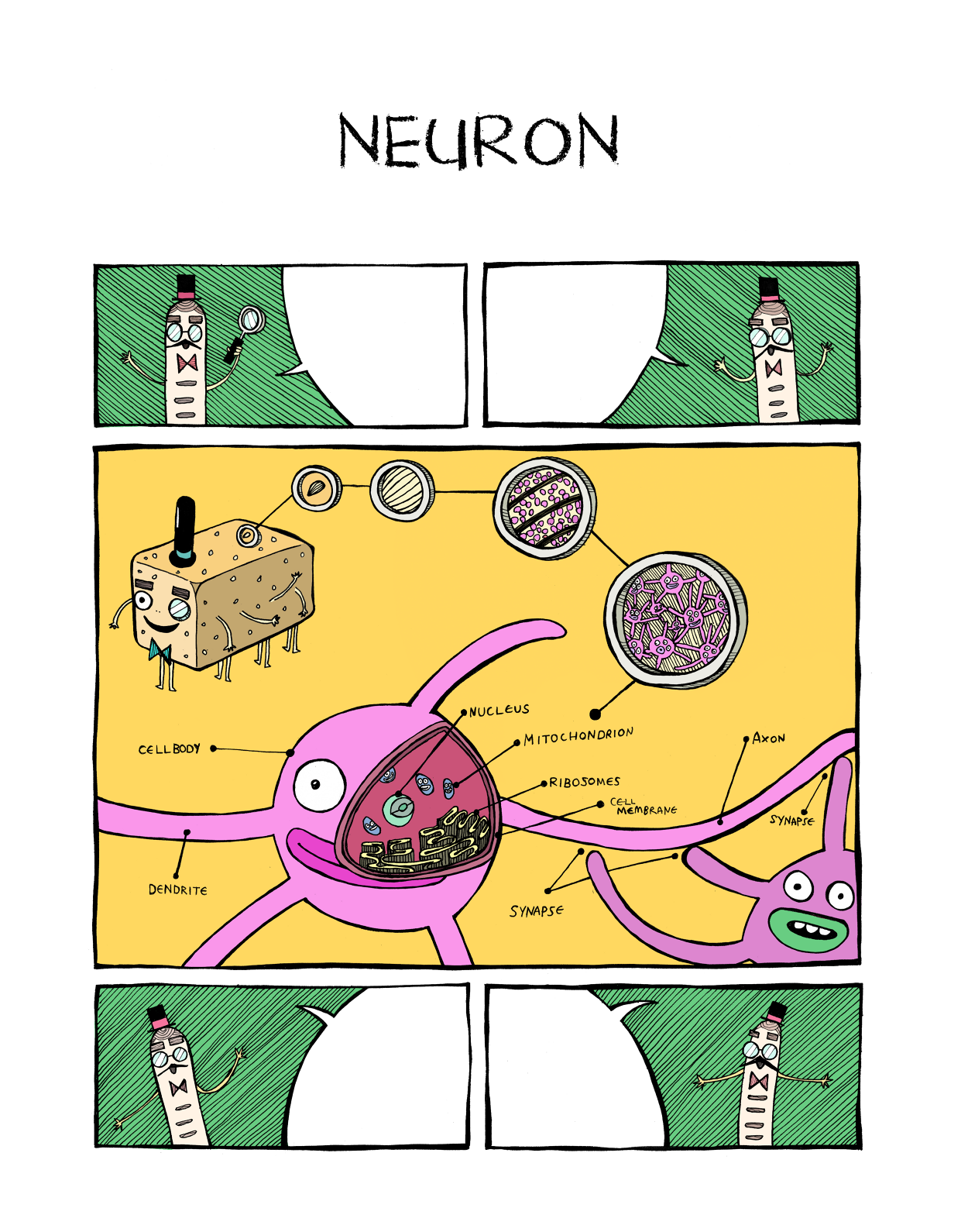 🧠 BOBO'S BRAIN - MORE THAN A GRAPHIC NOVEL 🧠 - WittleThings