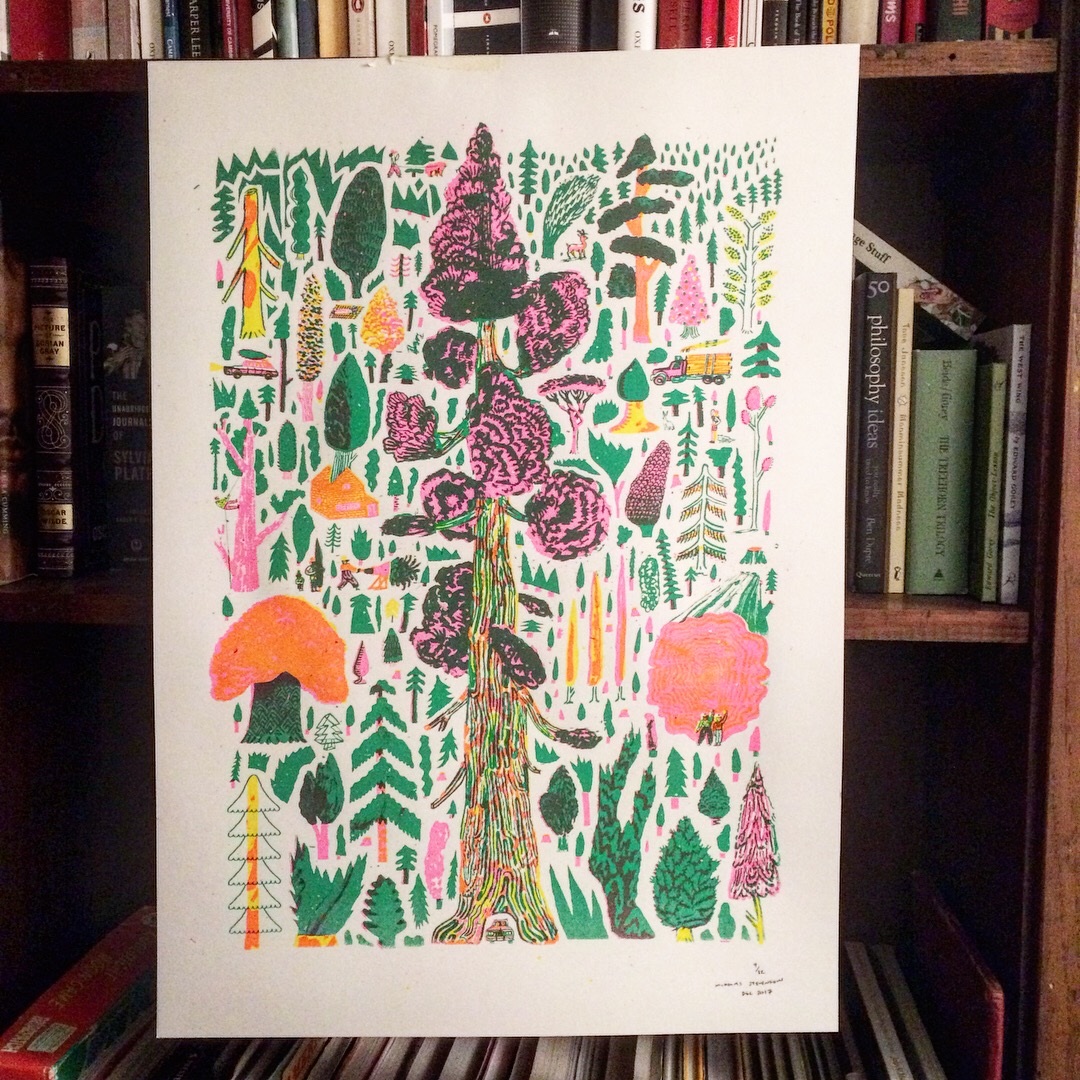Coniferous Screenprint - Nicholas Stevenson