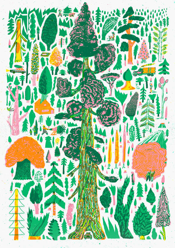 Coniferous Screenprint - Nicholas Stevenson