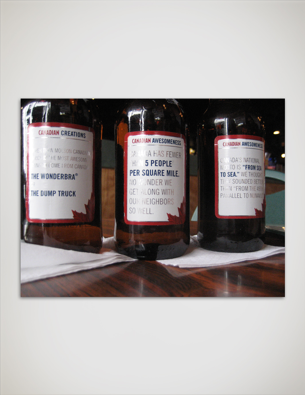 Molson Canadian Bottle Back Labels - Allie Golden - Strategic Communicator