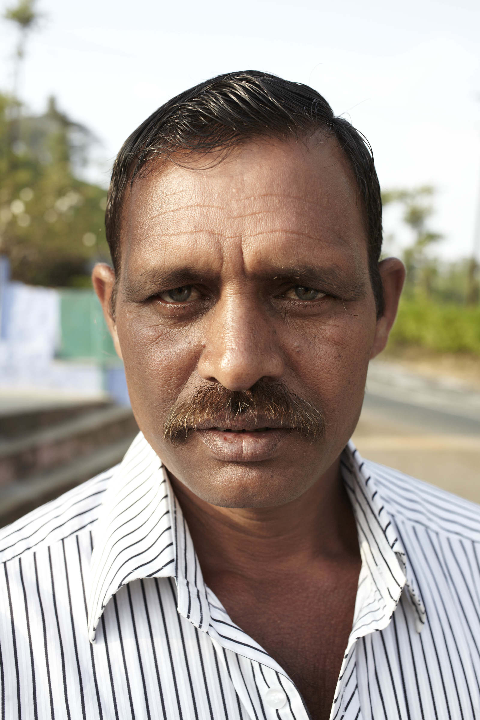 India - William Bunce