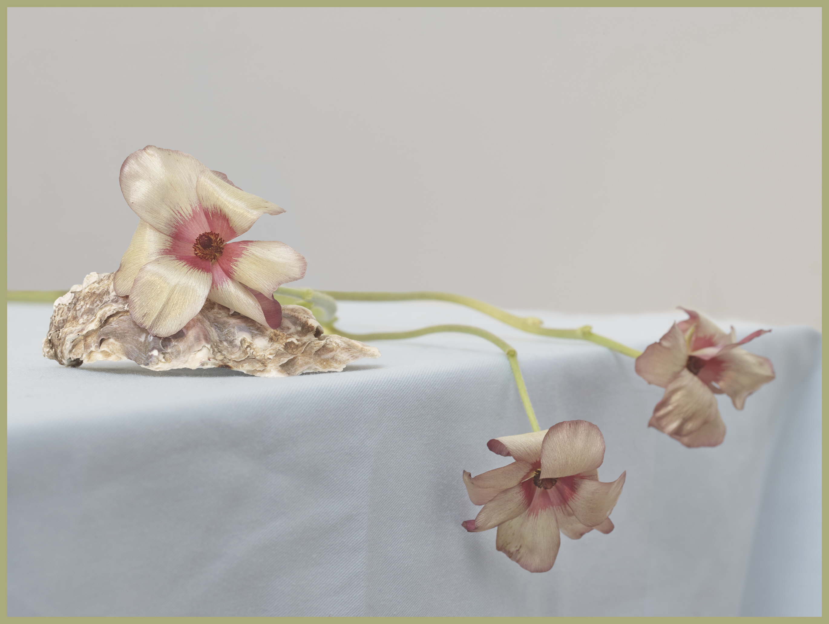 Wednesday Afternoon - William Bunce