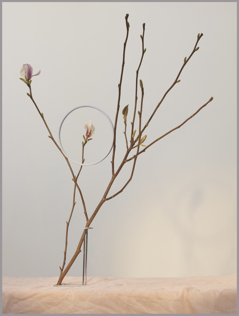 Wednesday Afternoon - William Bunce