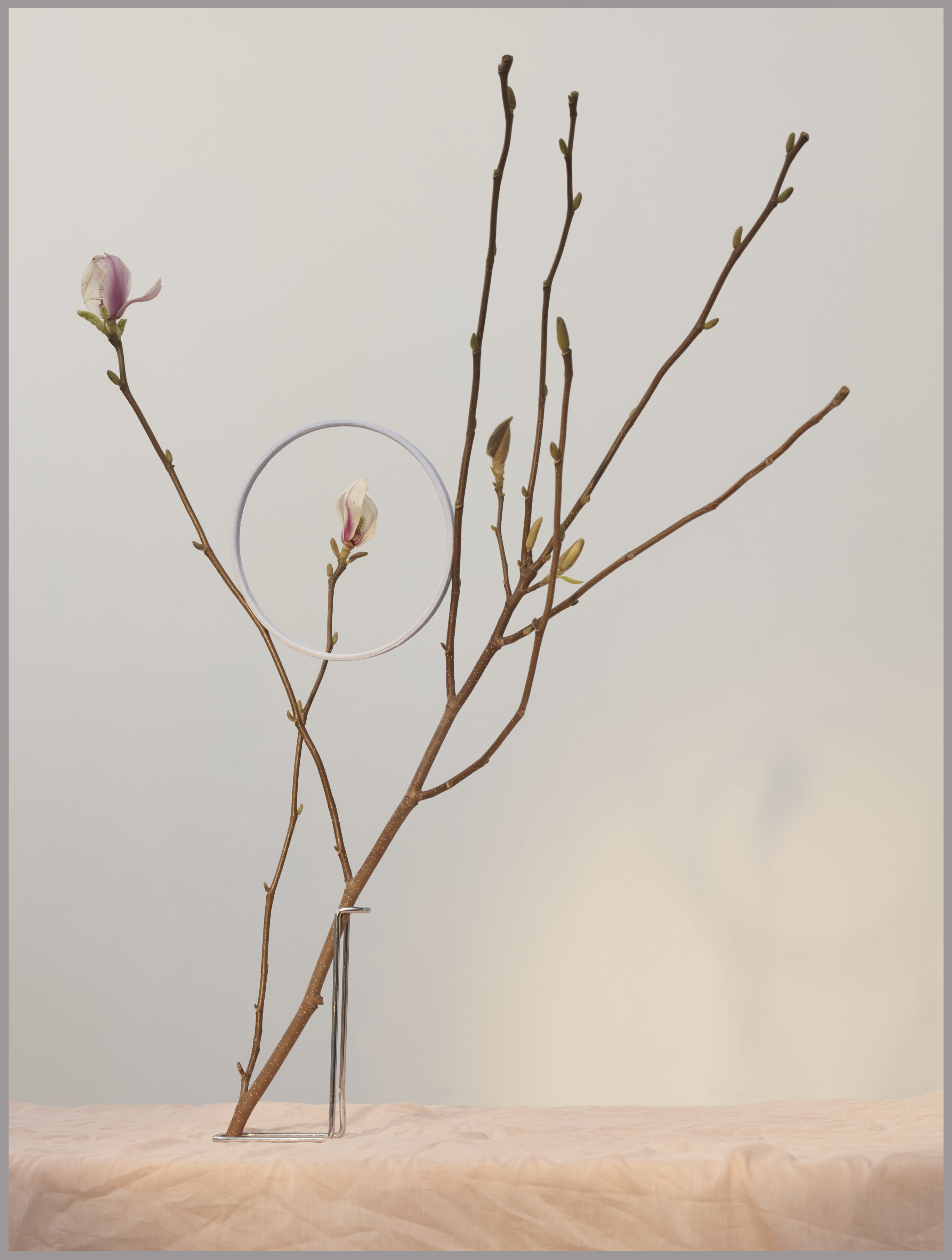 Wednesday Afternoon - William Bunce