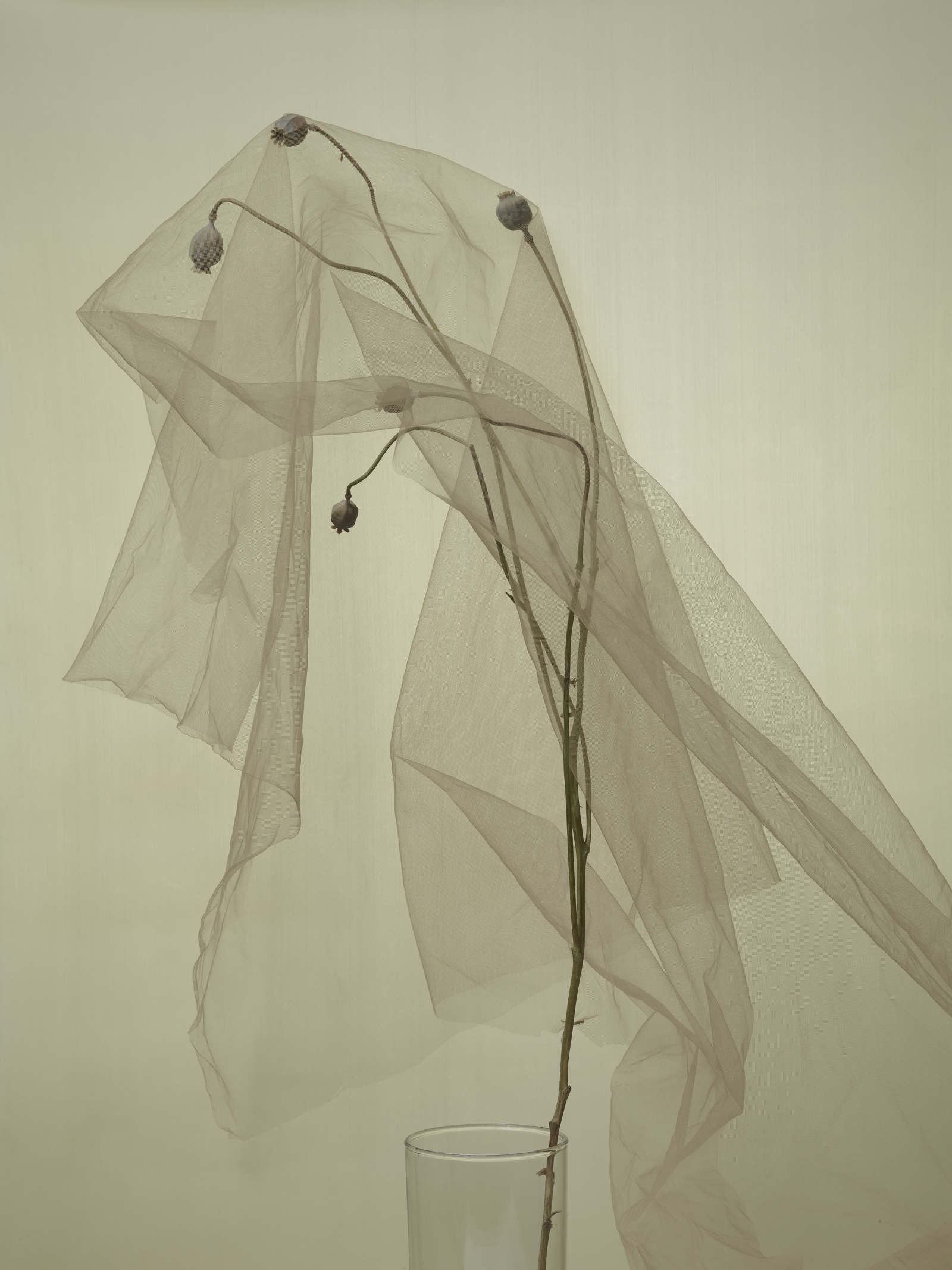 Picking and Pulling - William Bunce