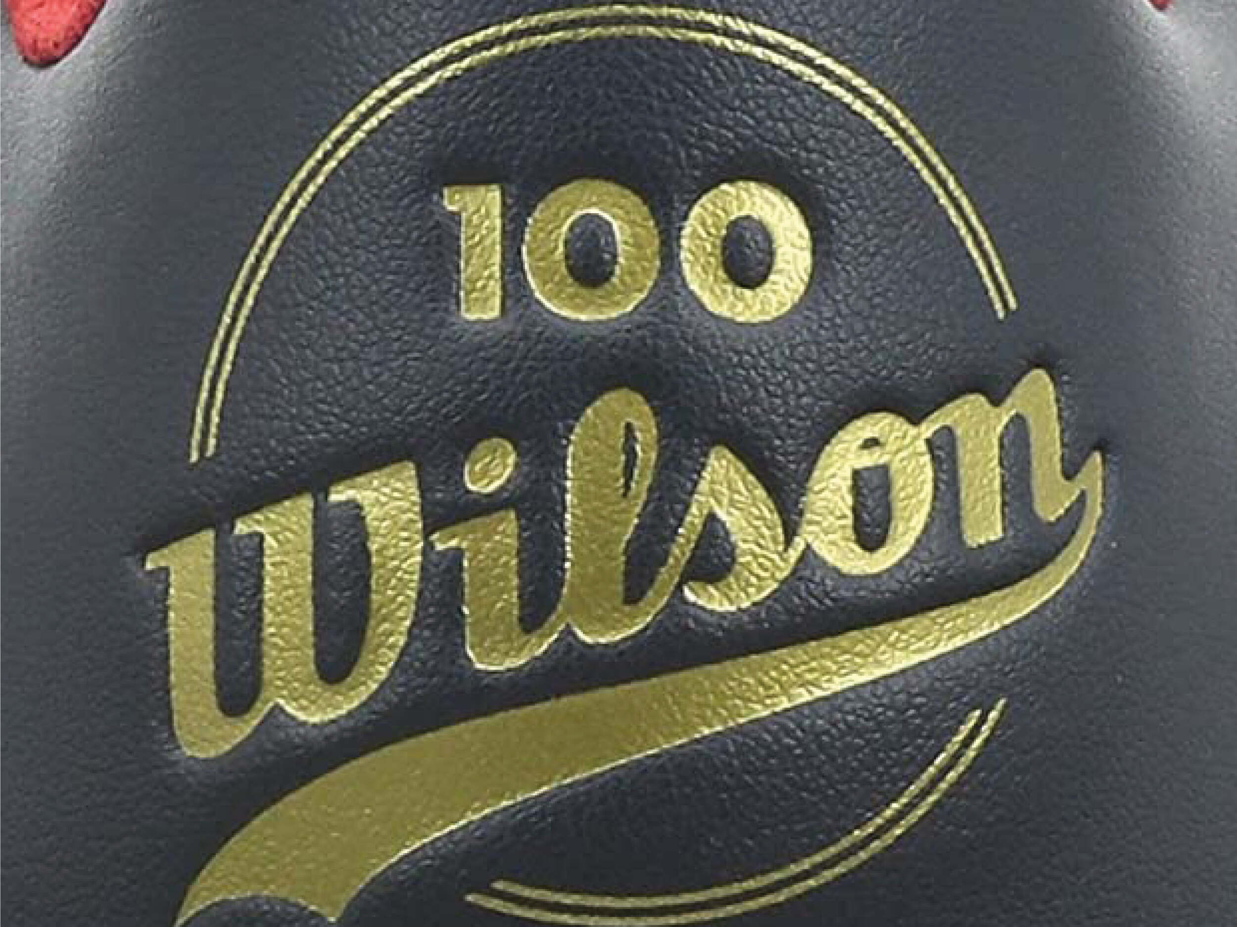 Wilson - Brunch Design Co.