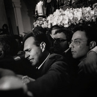 Tom Nicholson Photography