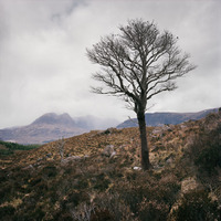 Tom Nicholson Photography