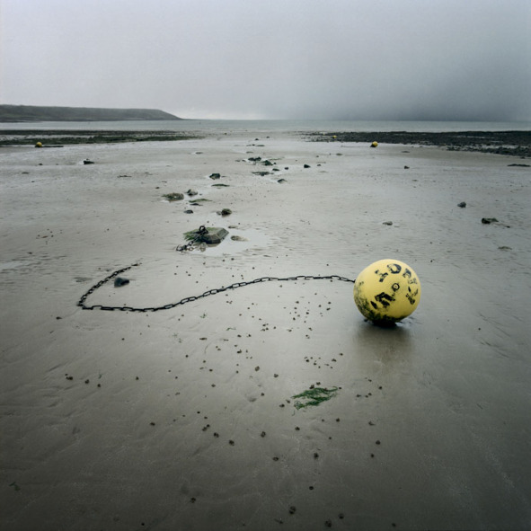 Single Images - Tom Nicholson Photography