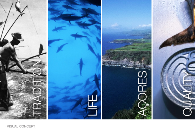 COFACO Rebranding - anaribeiro