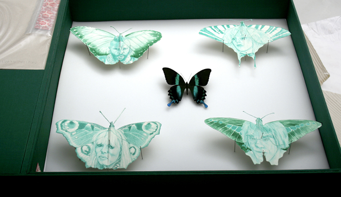 Caja entomológica: La mujer / Caja entomológica: El hombre Ugo M ...