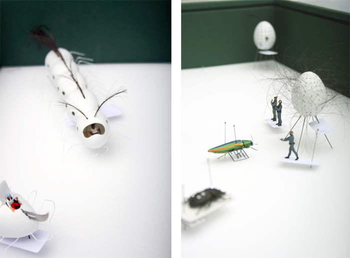 Caja entomológica: La mujer / Caja entomológica: El hombre Ugo M ...