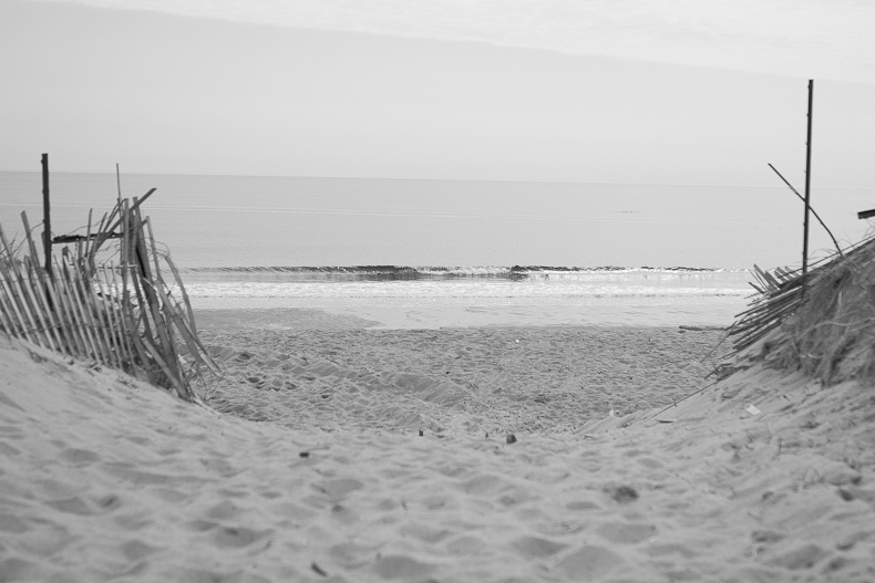 Alex Rice-Swiss Photography