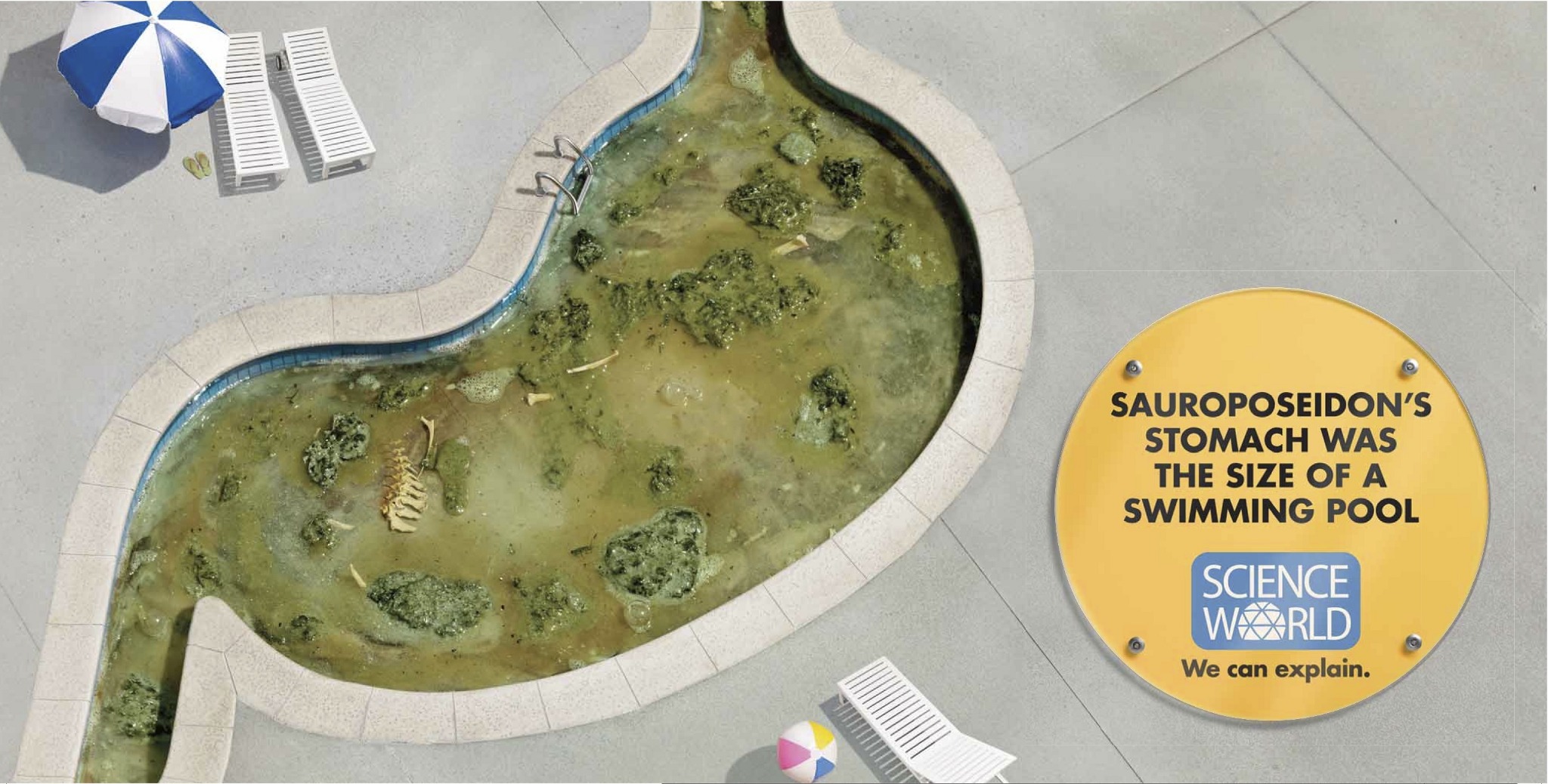 Ambient Media - Science World - Stephanie Bialik