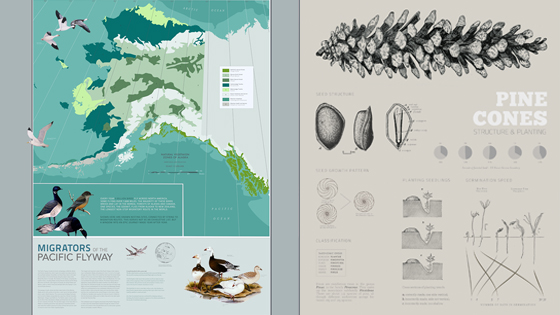 Education | Information Design - lis charman