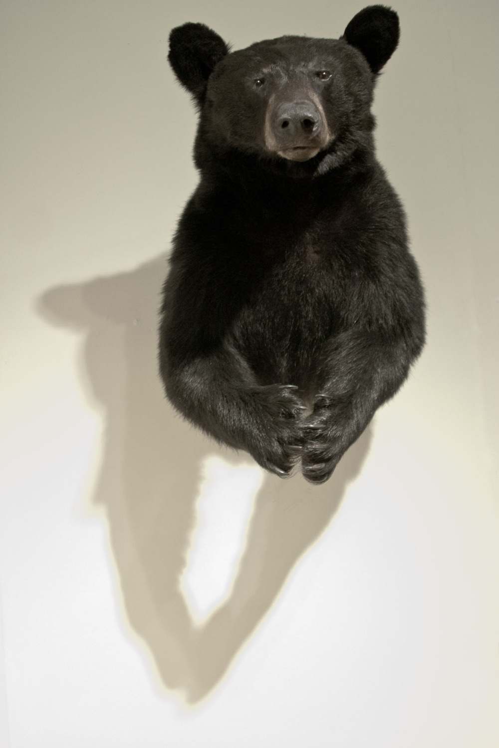 Healing Series | Visions and Dreams - Darin M. White Artist