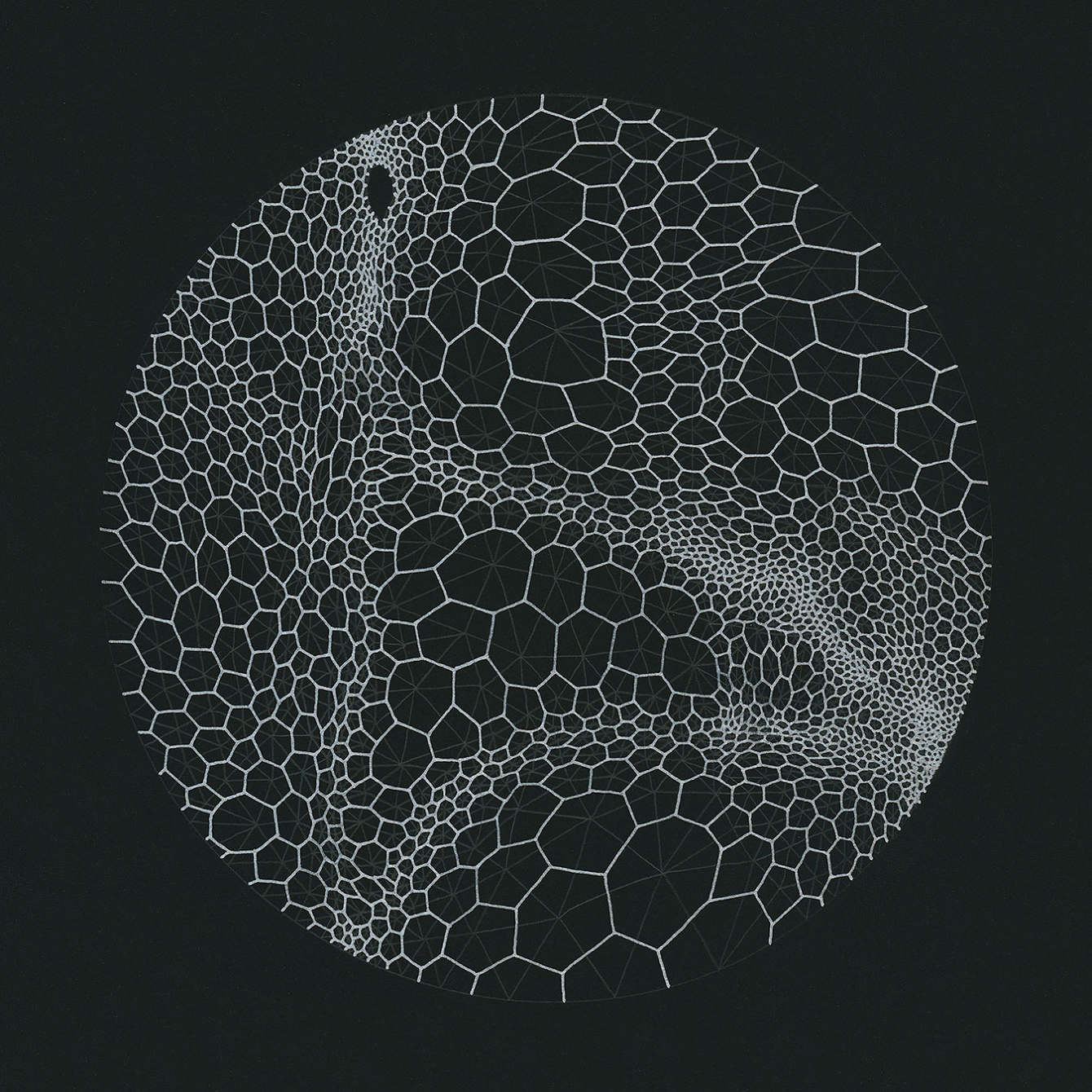 Accretion Disc Series - Clint Fulkerson