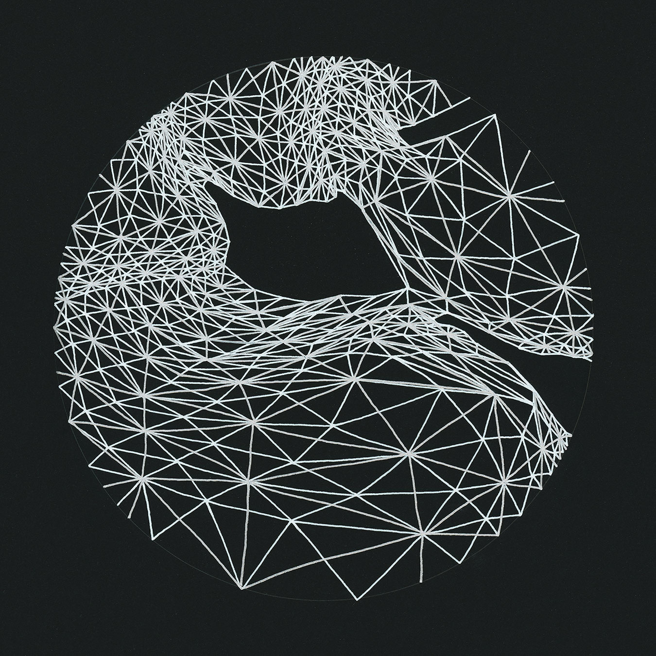 Accretion Disc Series - Clint Fulkerson