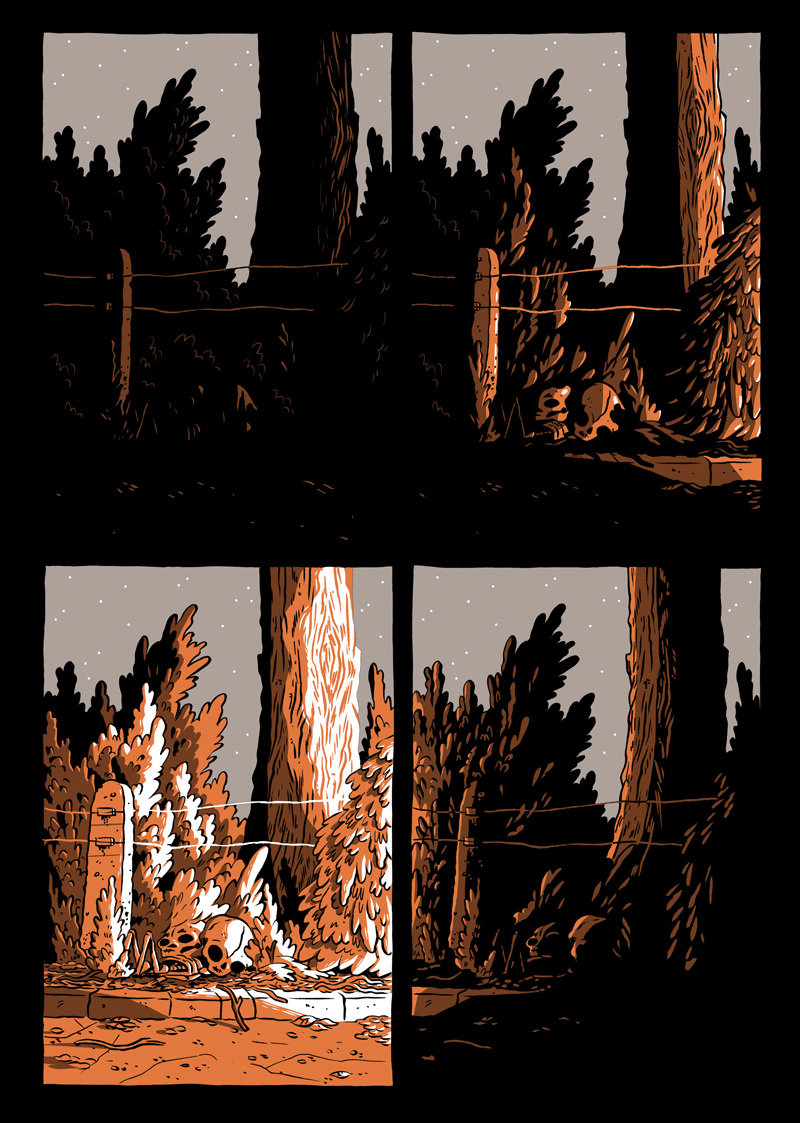 Everything We Miss - Luke Pearson - Illustration and Comics