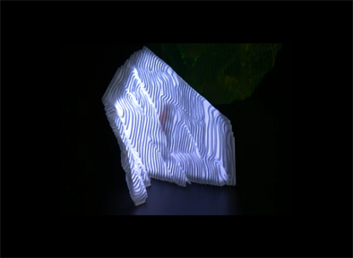 The Skin: Five Layers of Neurosis - susana carne