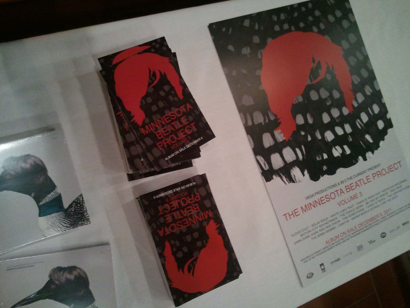 Minnesota Beatle Project - Meher Khan: Design+Illustration