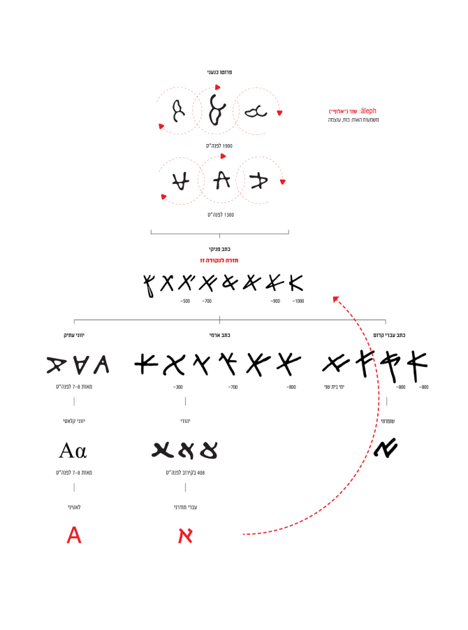 Hebrew script evolution - Tamar Dovrat